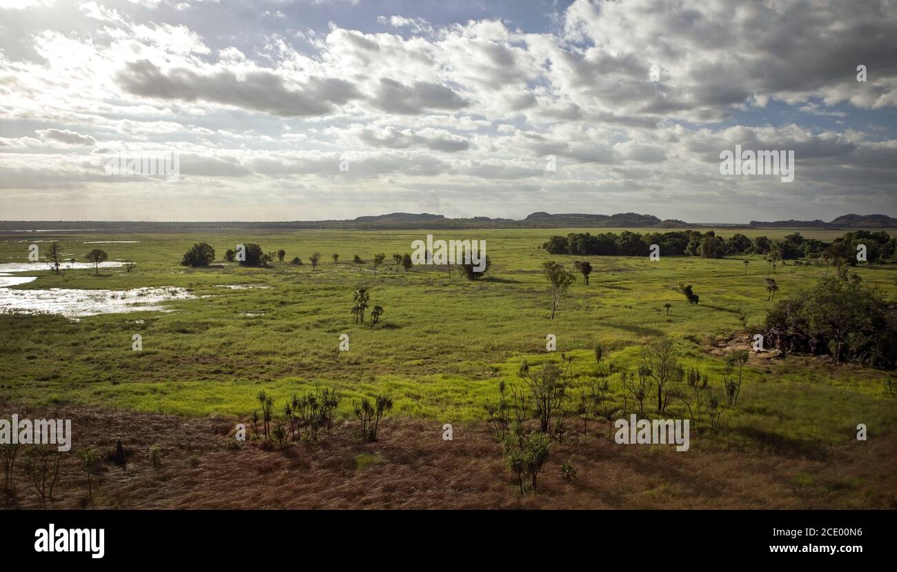 Swamp gum hill hi-res stock photography and images - Alamy