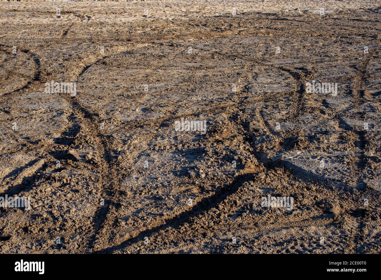 dry sand and mud ground with many dirt bike tracks at daylight Stock ...