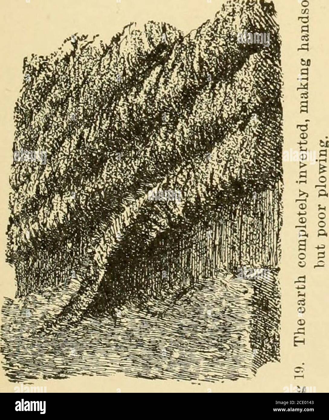 . The principles of agriculture, a text-book for schools and rural ...