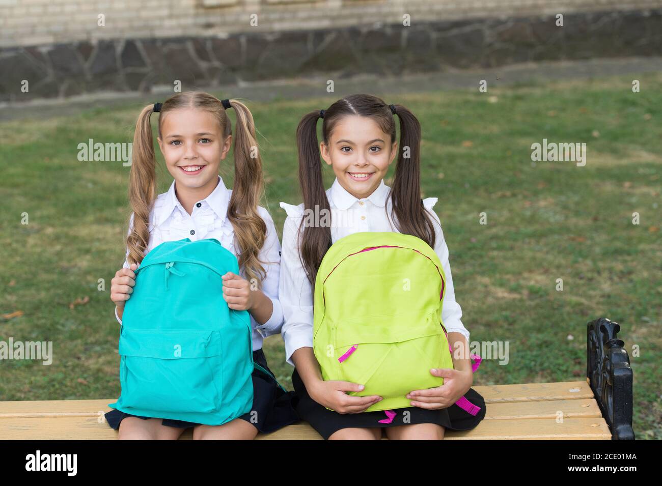 Study together to accomplish more. Happy girls study in primary school ...