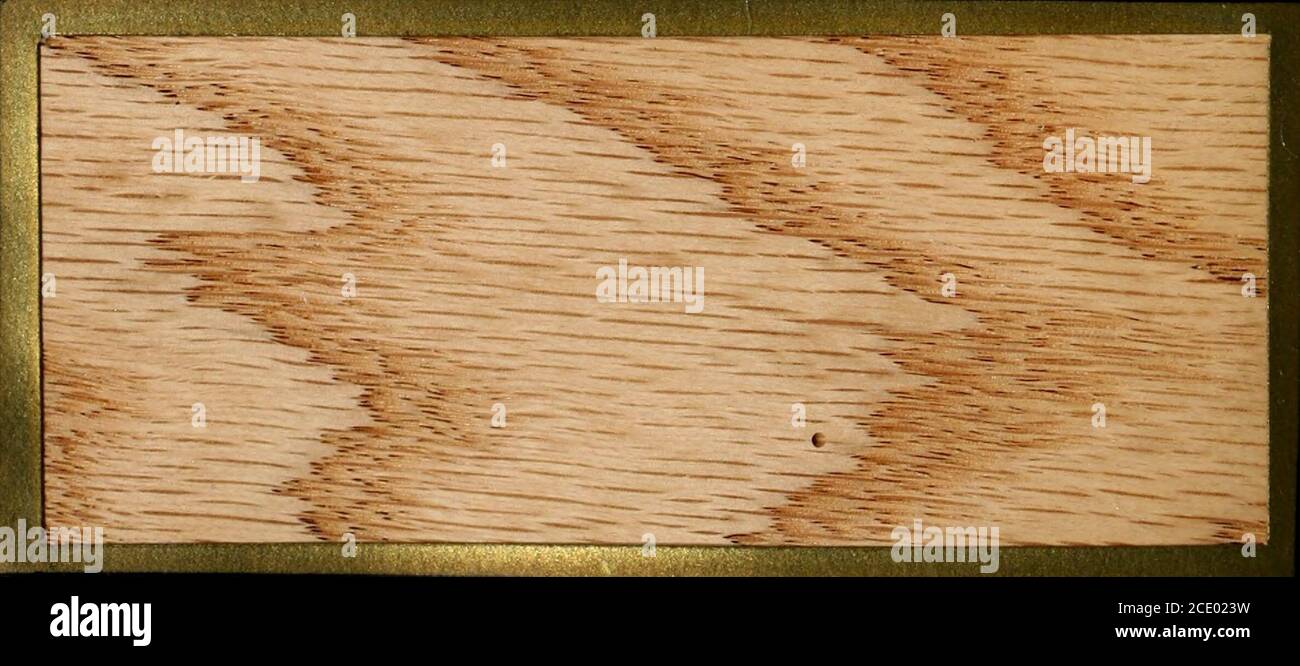 . The American woods : exhibited by actual specimens and with copious ...