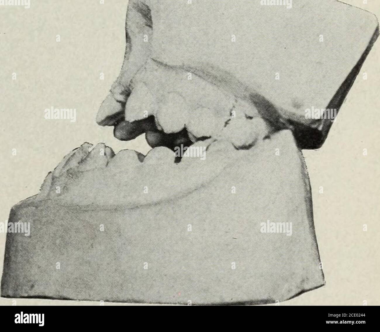 . The Dental cosmos . rominent chin, the disproportionatelylong ...