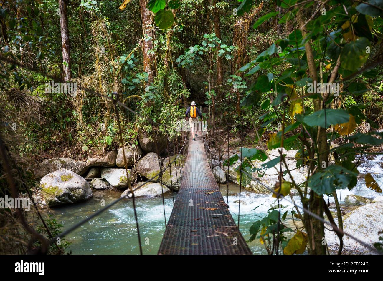 Bridge in Costa Rica Stock Photo - Alamy