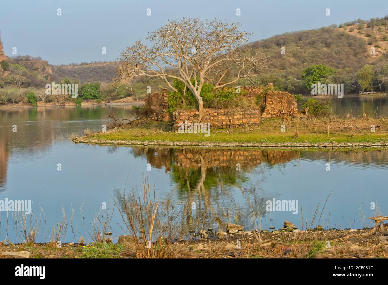 Rajbag hi-res stock photography and images - Alamy