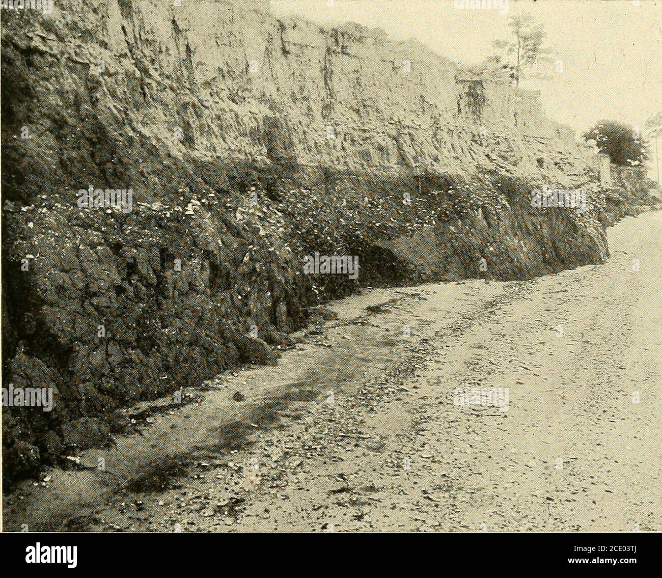 . Maryland geological survey . Fig. i.—view showing fossil shell ...