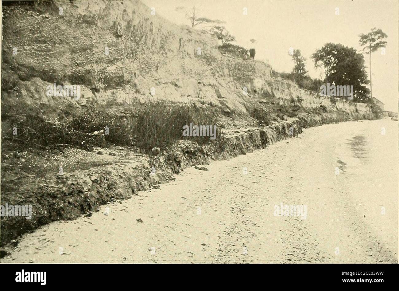 . Maryland geological survey . e other dia-grams finds its consummation ...