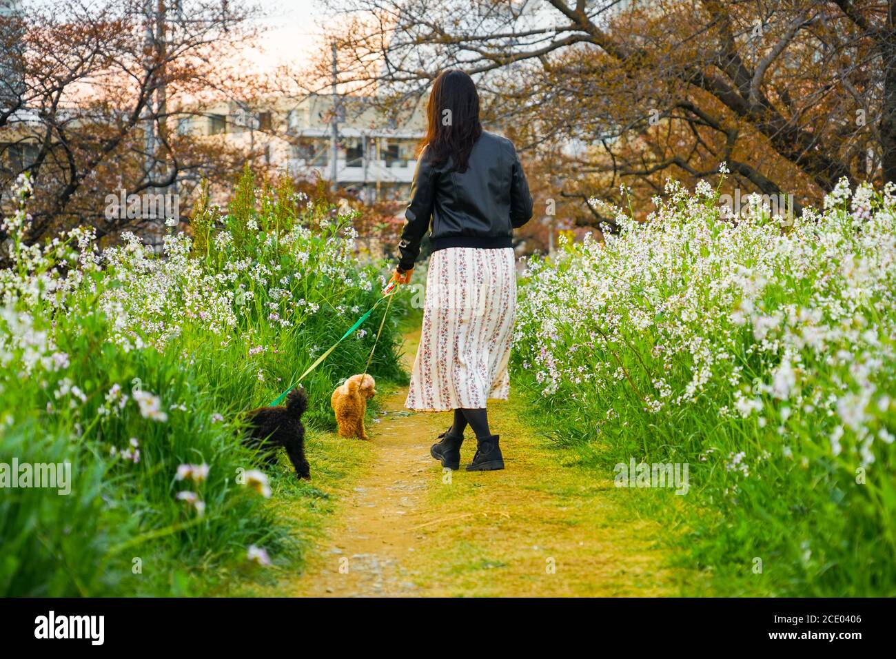 Trails walk hi-res stock photography and images - Alamy
