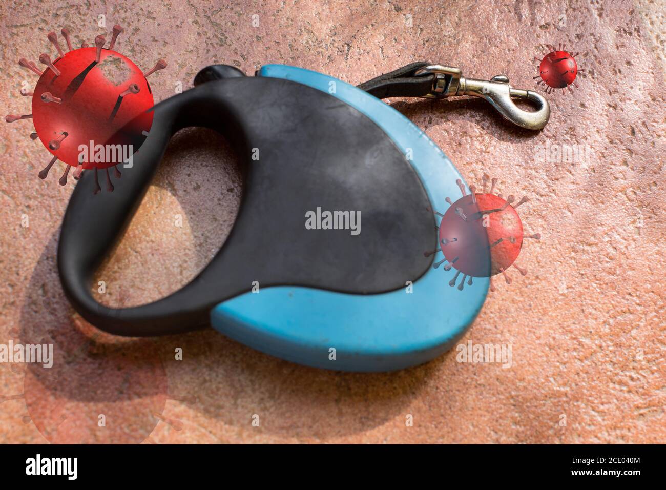 coronavirus cells infecting extendable pet lead Stock Photo - Alamy