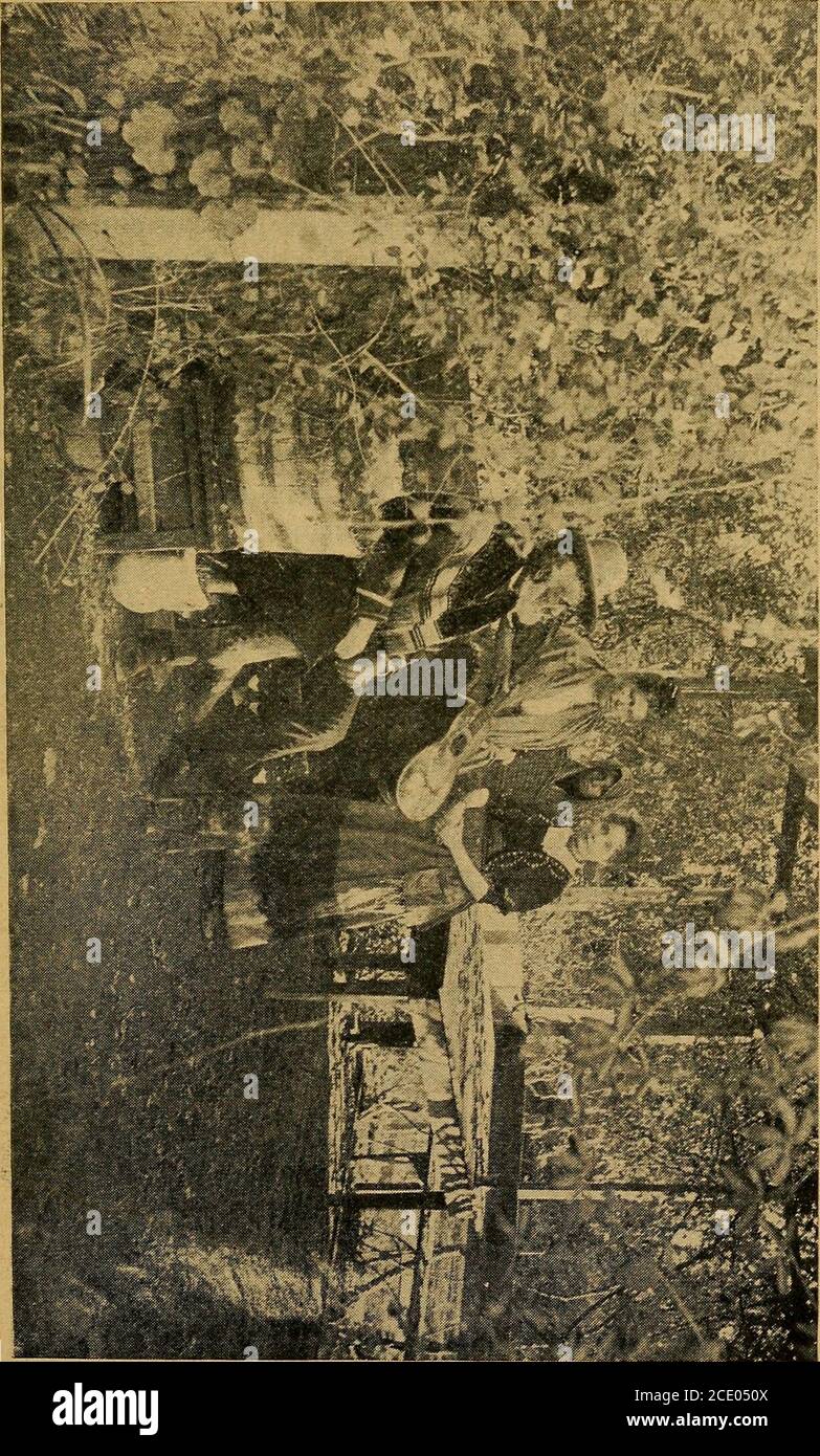 Seventeen fruits hi-res stock photography and images - Alamy