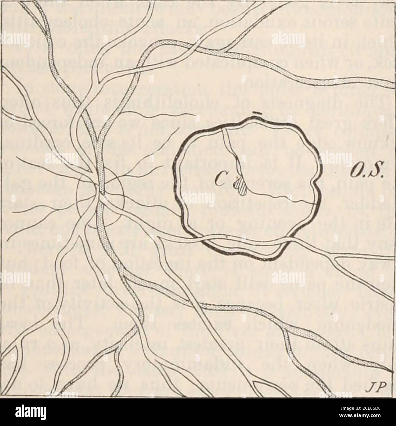 . Virginia medical semi-monthly . ely, save at its central part, where ...