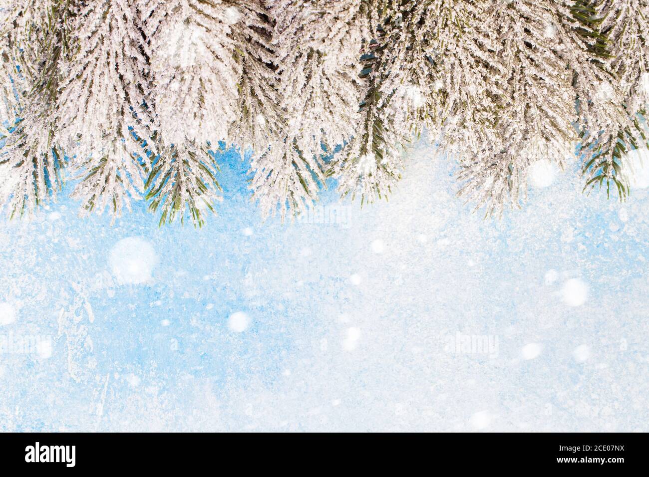 Christmas border with frost, snow and Xmas fir branches on blue ...