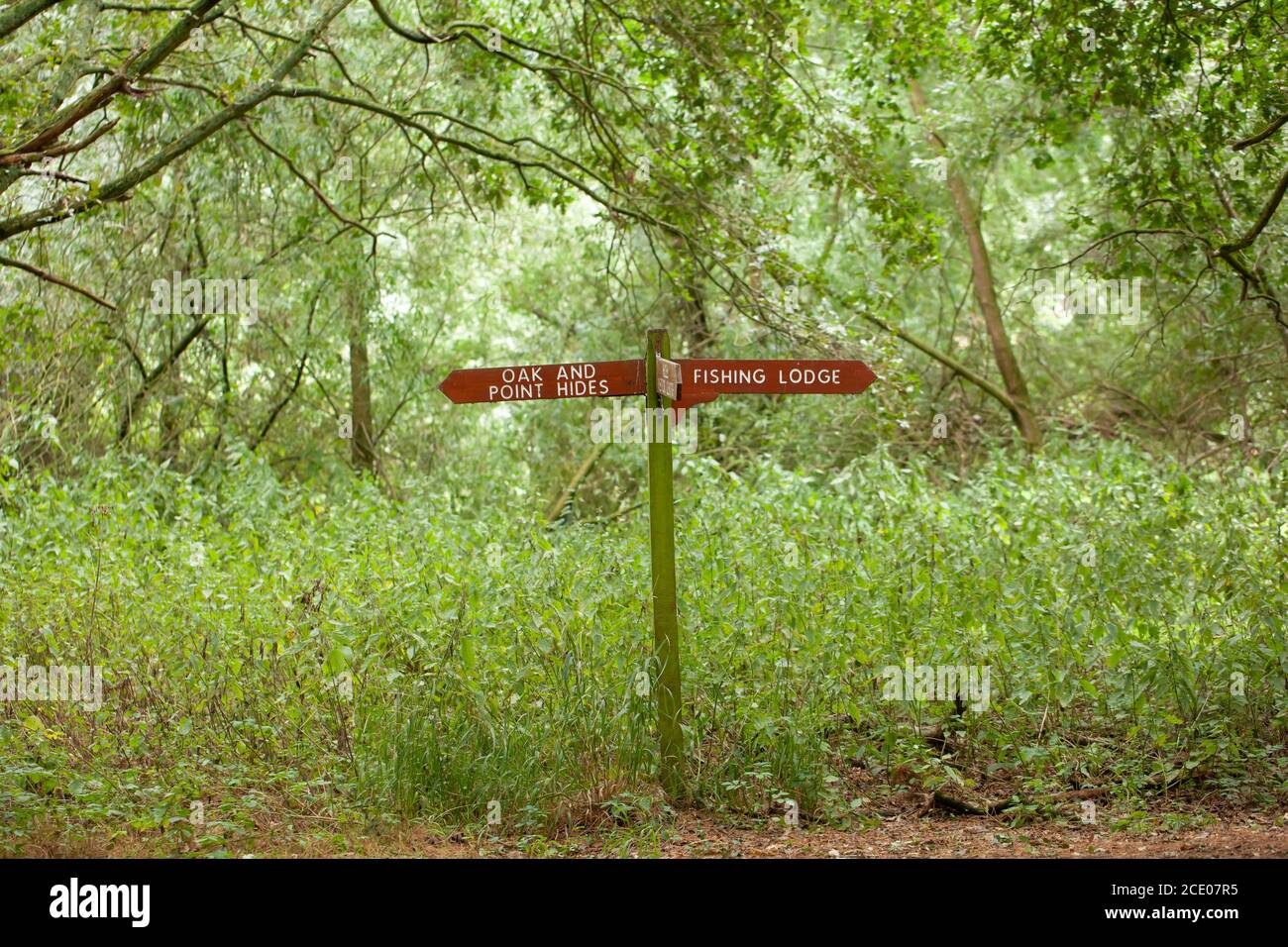 Nature trail /British woodland/ Healthy Living concept - direction sign ...