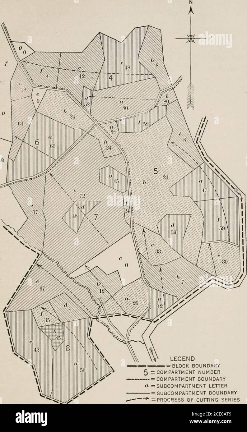 Forest working plans hi-res stock photography and images - Alamy