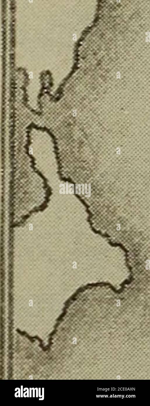 Lycaonia hi-res stock photography and images - Alamy