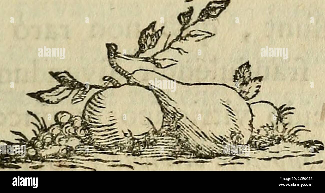 Optimum van hi-res stock photography and images - Alamy