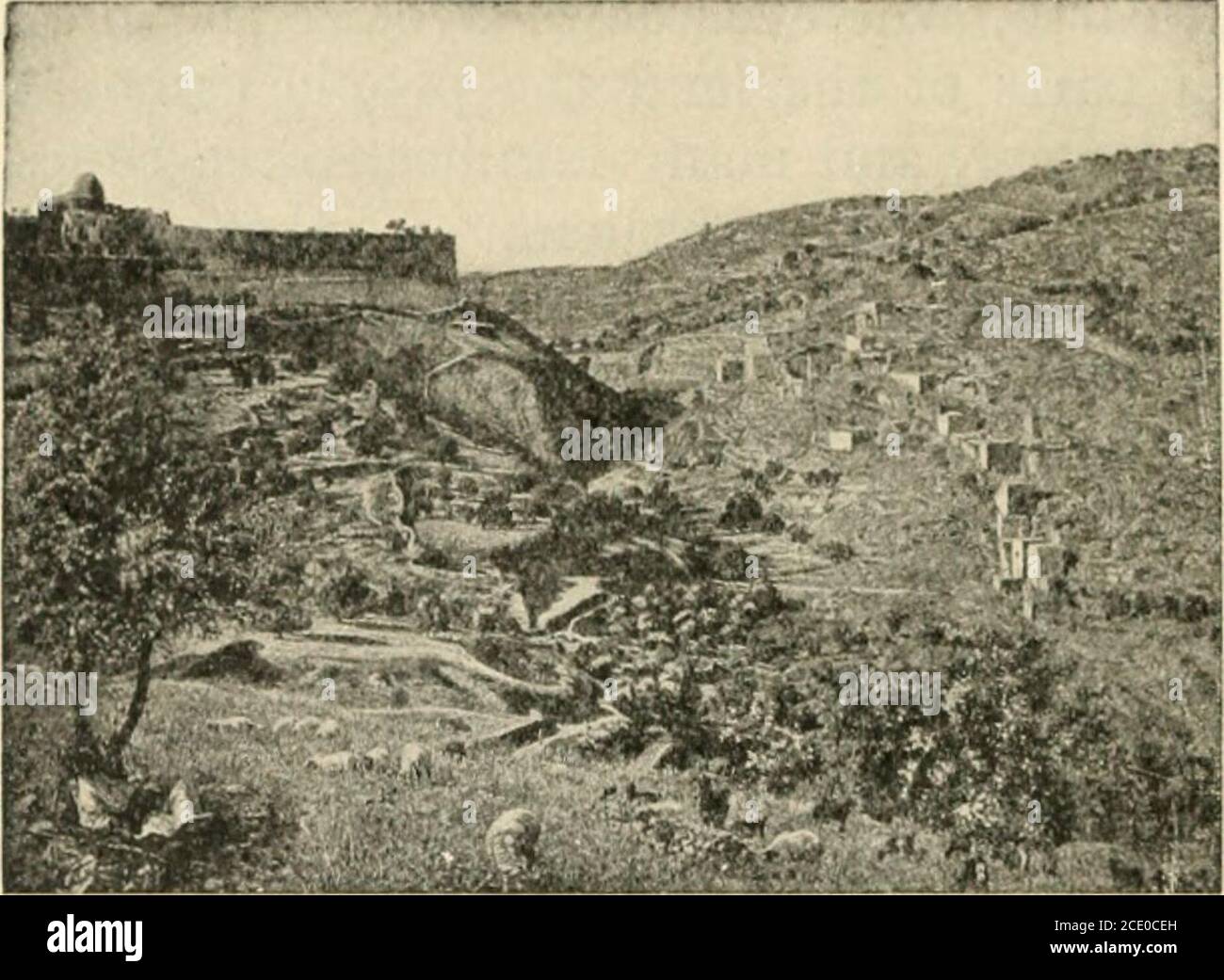 First temple high priest hi-res stock photography and images - Alamy