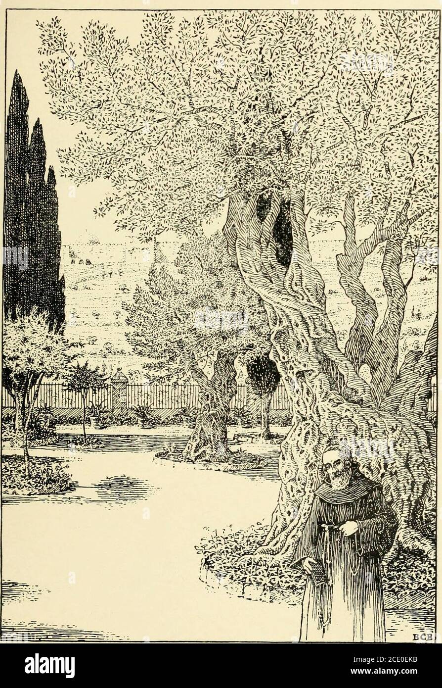 . The home of fadeless splendour: or, Palestine of today . e the steep ...