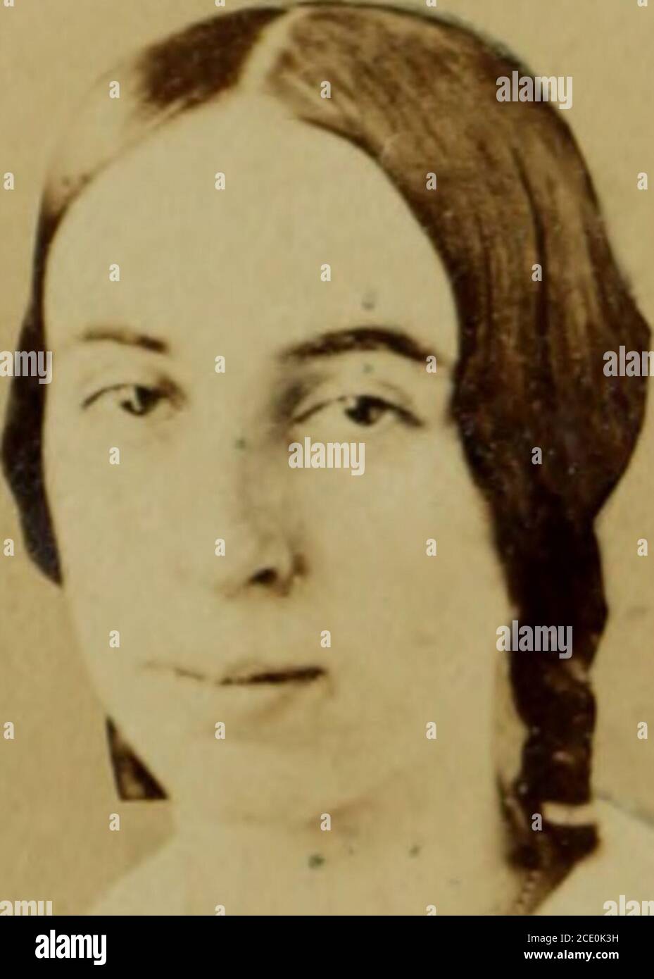 Gulielma hi-res stock photography and images - Alamy