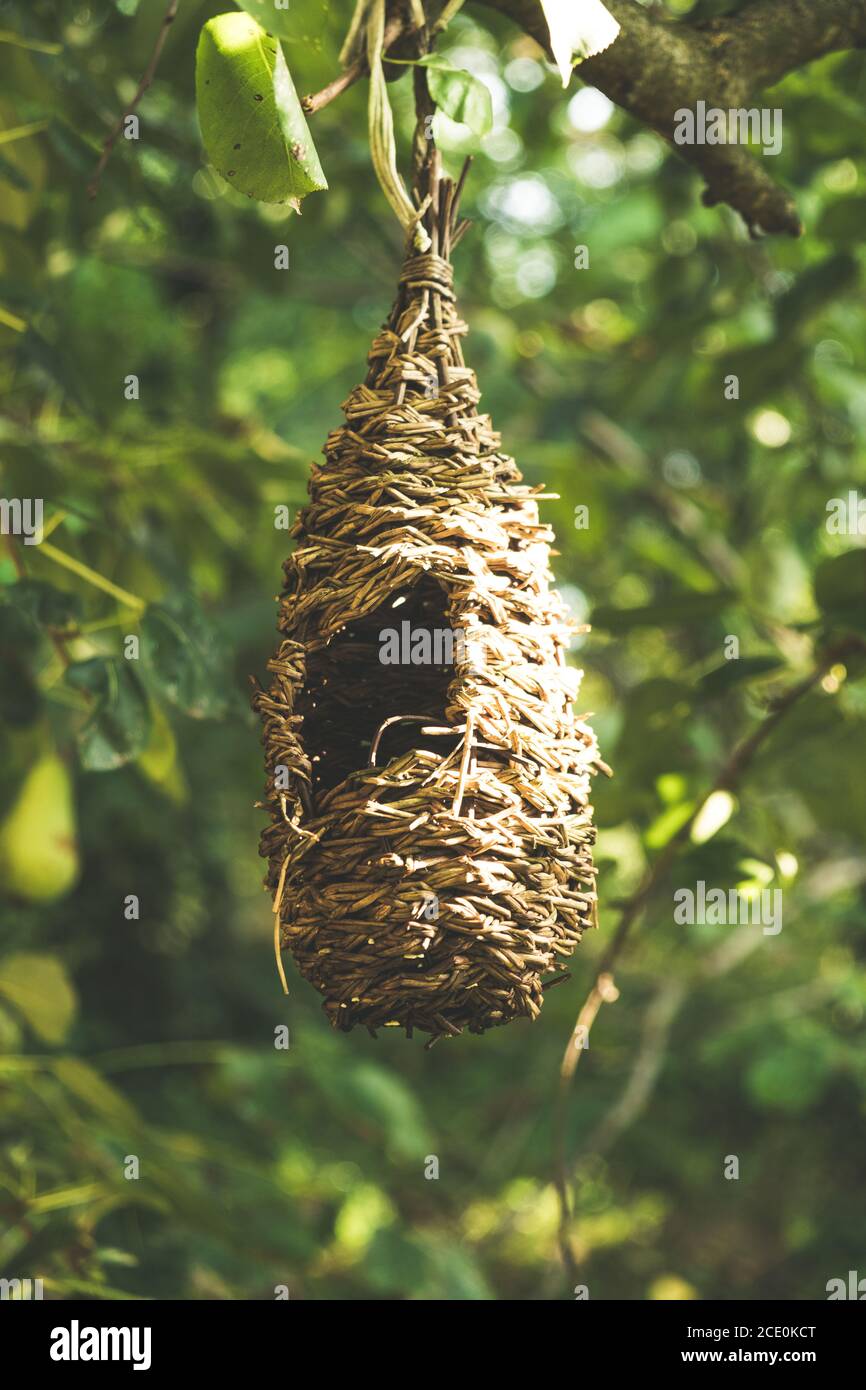 Bird Nest Hanging High Resolution Stock Photography and Images - Alamy