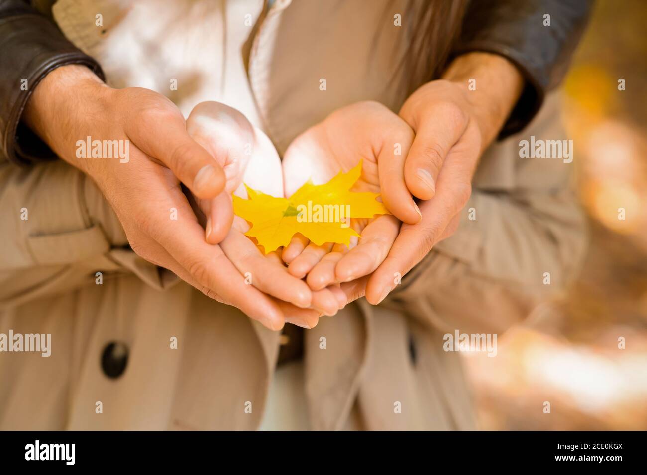 Female palms in colorful hi-res stock photography and images - Alamy