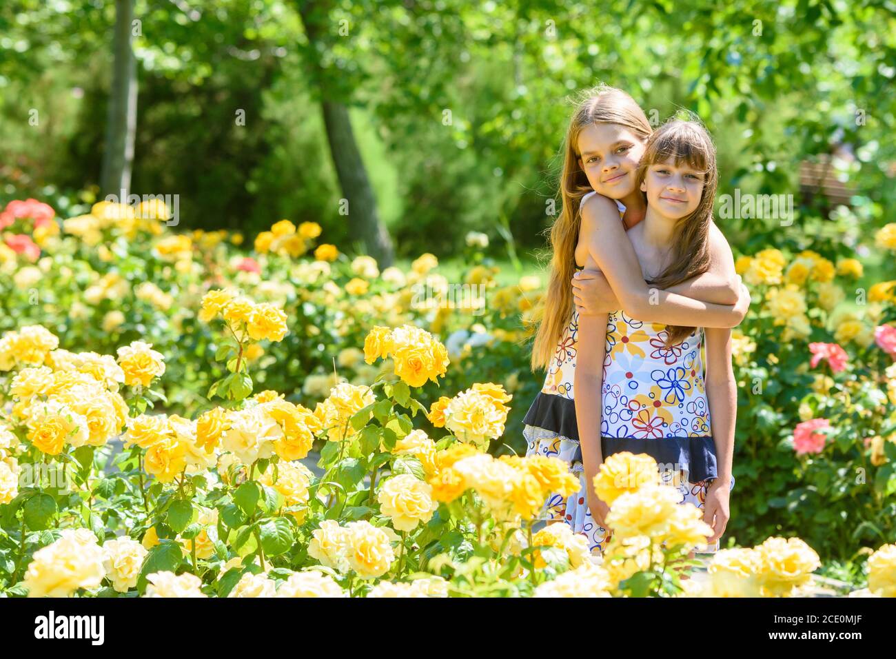 Two girls stand in a beautiful flower garden and hug each other Stock ...