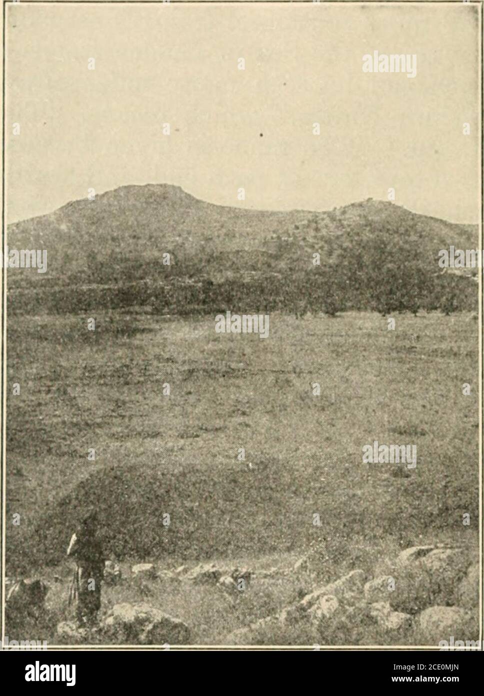 Simon brother of jesus hi-res stock photography and images - Alamy