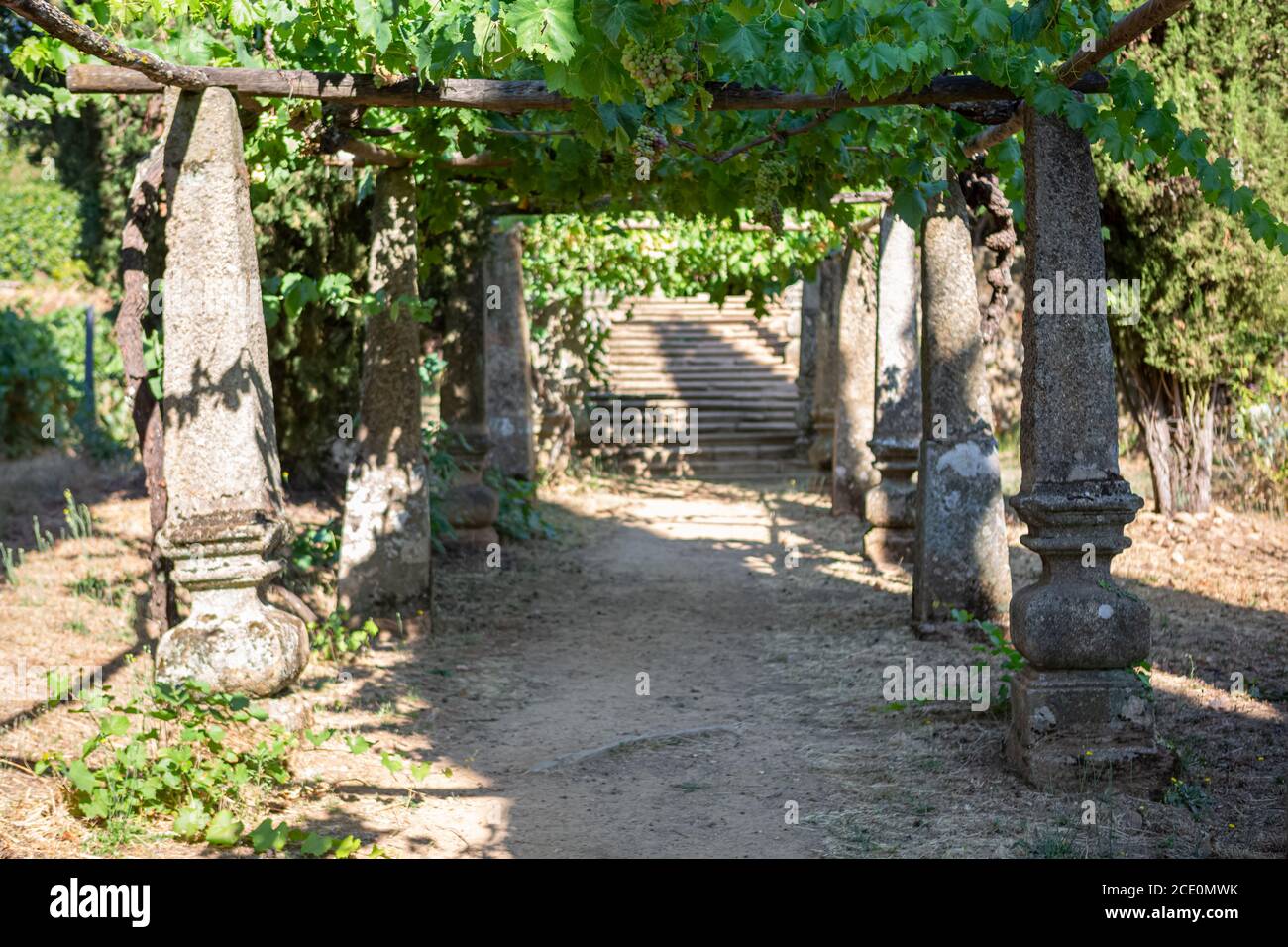 Vineyard pillars hi-res stock photography and images - Alamy