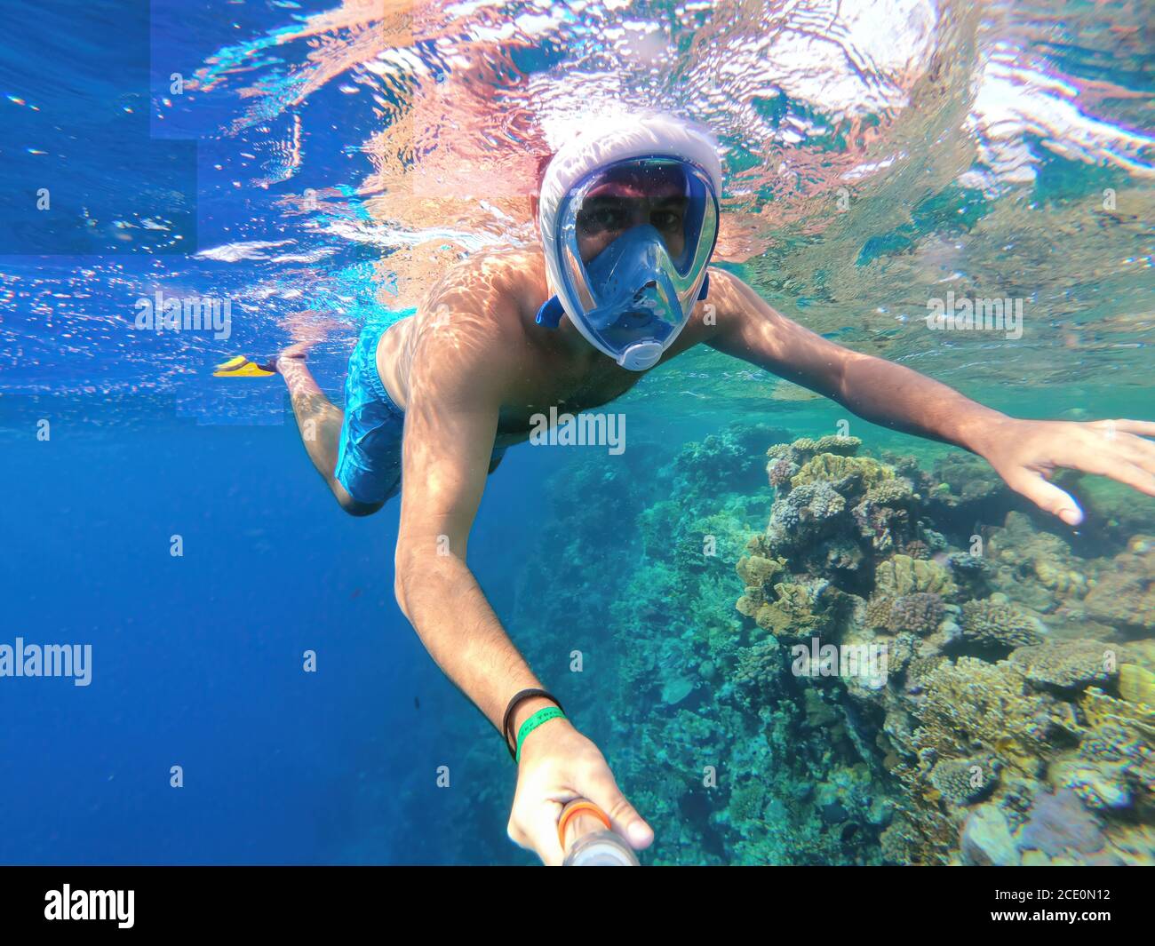 Fish swimming in shallow water hi-res stock photography and images - Alamy