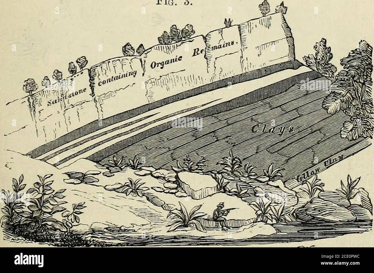 Falconer map hi-res stock photography and images - Alamy