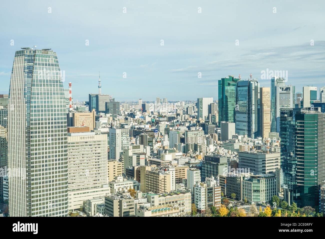 Tokyo skyline seen from the Tokyo Tower Observatory Stock Photo - Alamy
