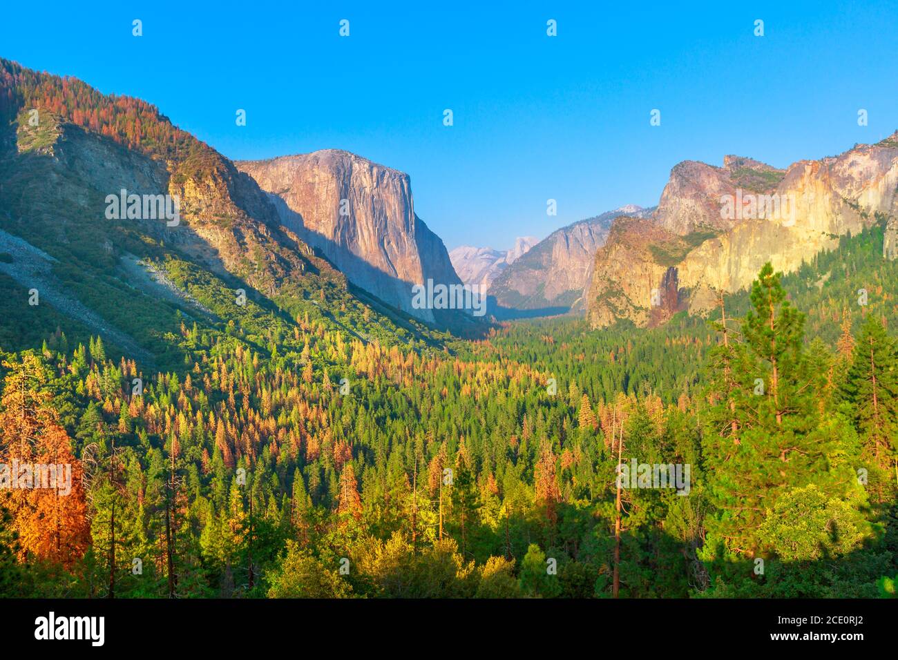 freedom travel in Yosemite National Park at iconic Tunnel View overlook ...