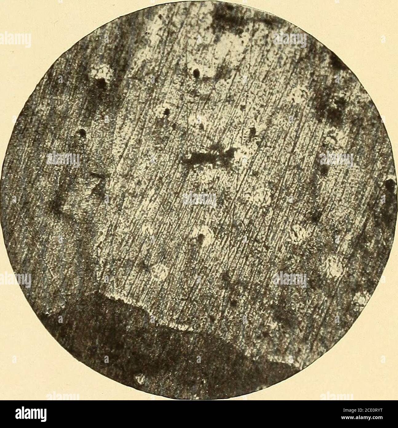 . Microstructure of changes accompanying the annealing of cast bronze ...