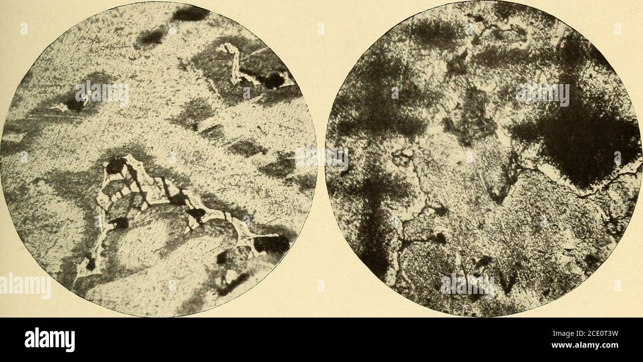 . Microstructure of changes accompanying the annealing of cast bronze ...