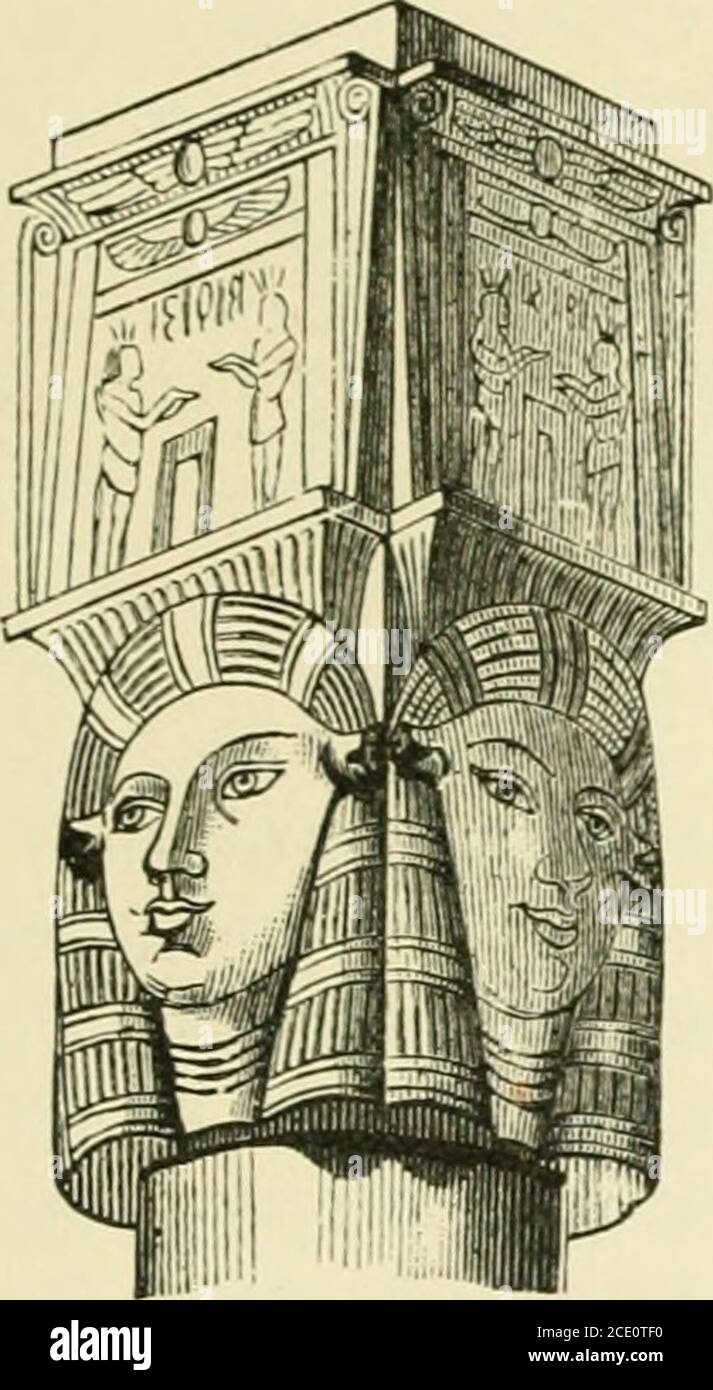 Inverted lotus flower hi-res stock photography and images - Alamy