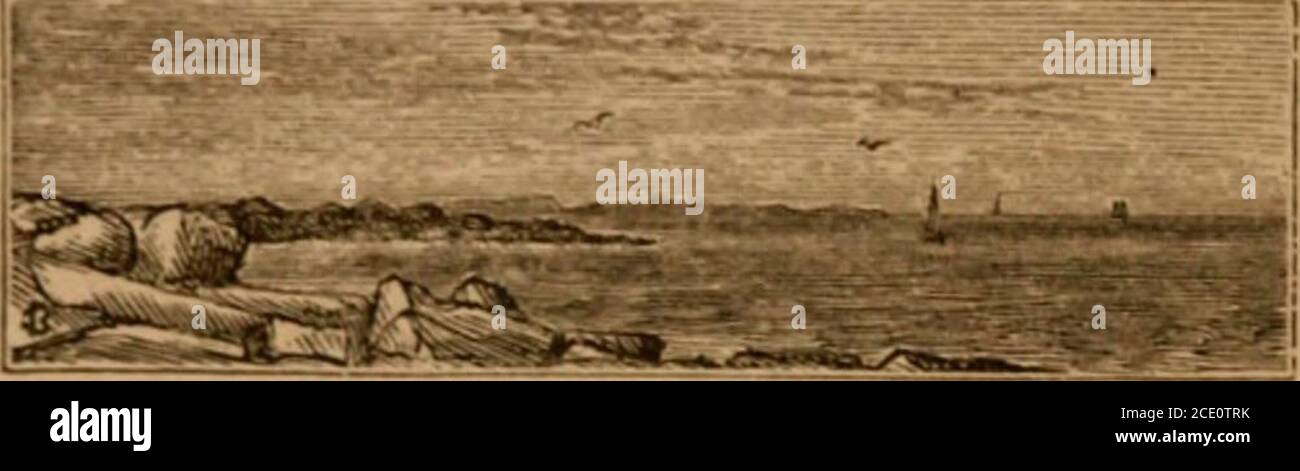 . Pigeon Cove and vicinity . A spring of Chalybeate Water was ...