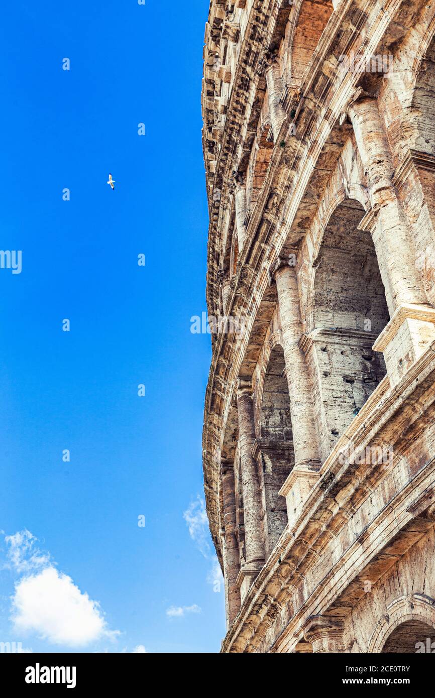 photography of the coliseum in rome in high quality Stock Photo - Alamy
