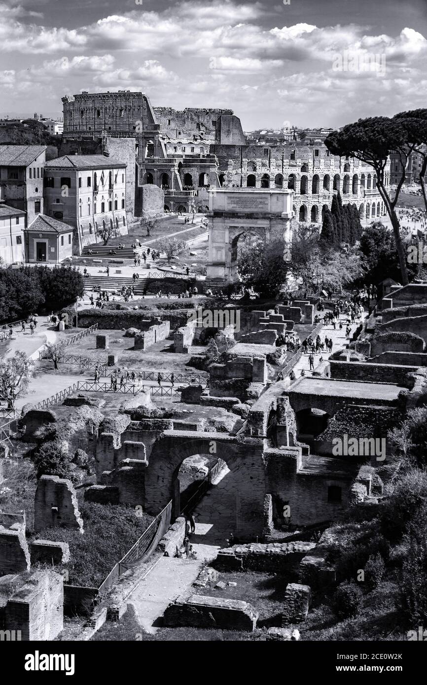 photography of the coliseum in rome in high quality Stock Photo - Alamy