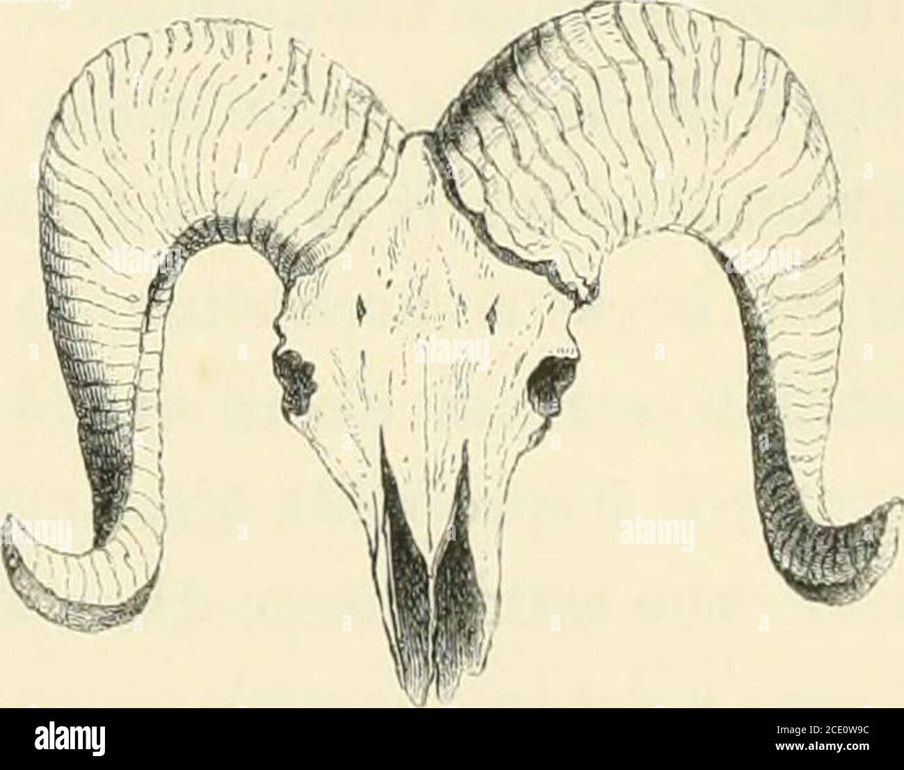 Bookidshootinginhi hi-res stock photography and images - Alamy