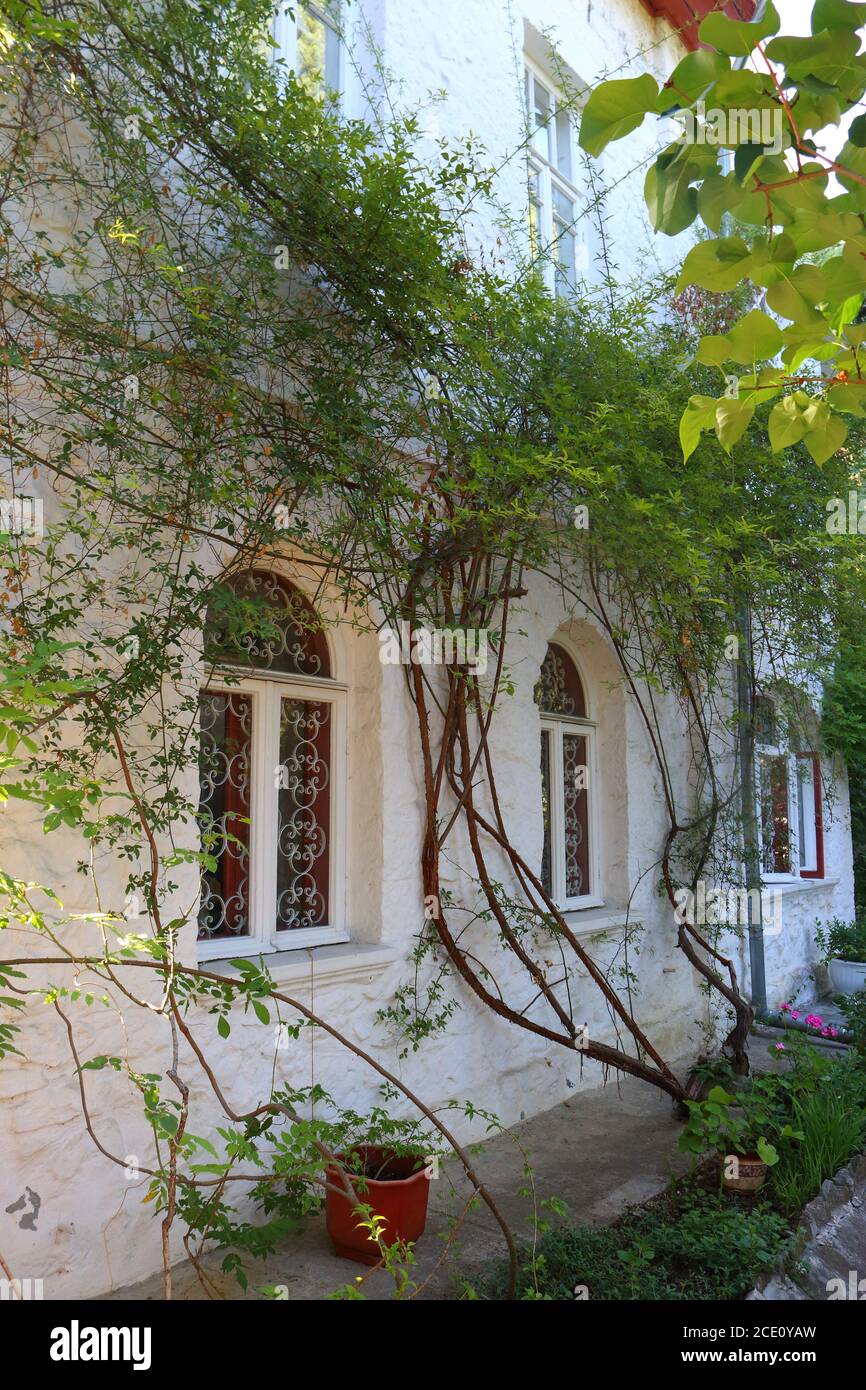 House-Museum of Anton Pavlovich Chekhov "Belaya Dacha" in the city of ...