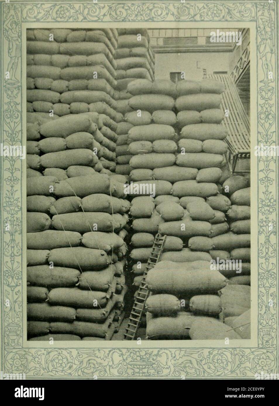 Cocoons warehouse hi-res stock photography and images - Alamy