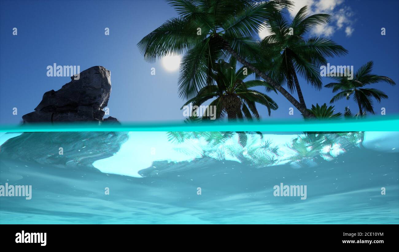 Split view cross section of sea water and palm trees on Island Stock ...