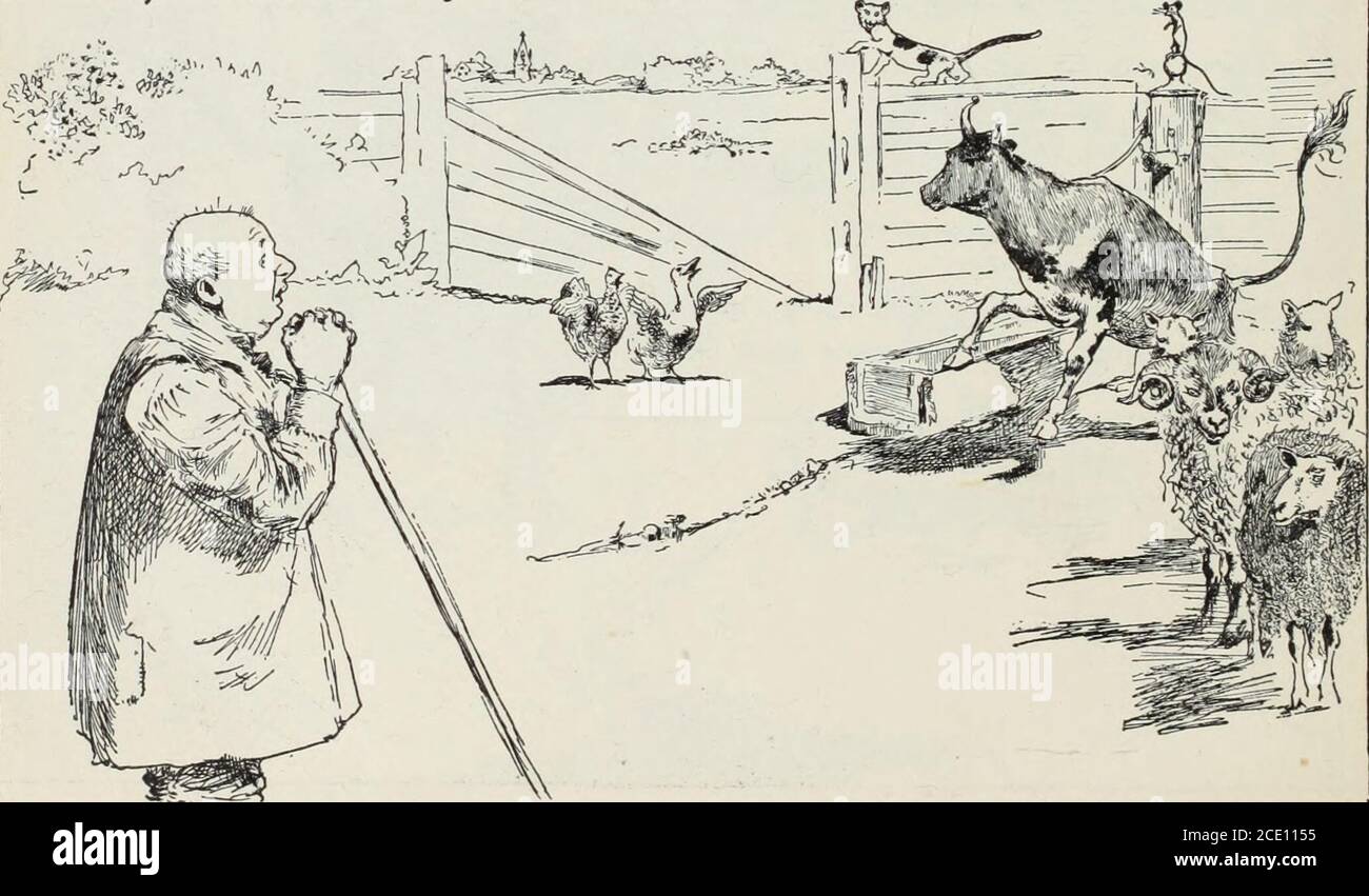 Hen doo hi-res stock photography and images - Alamy