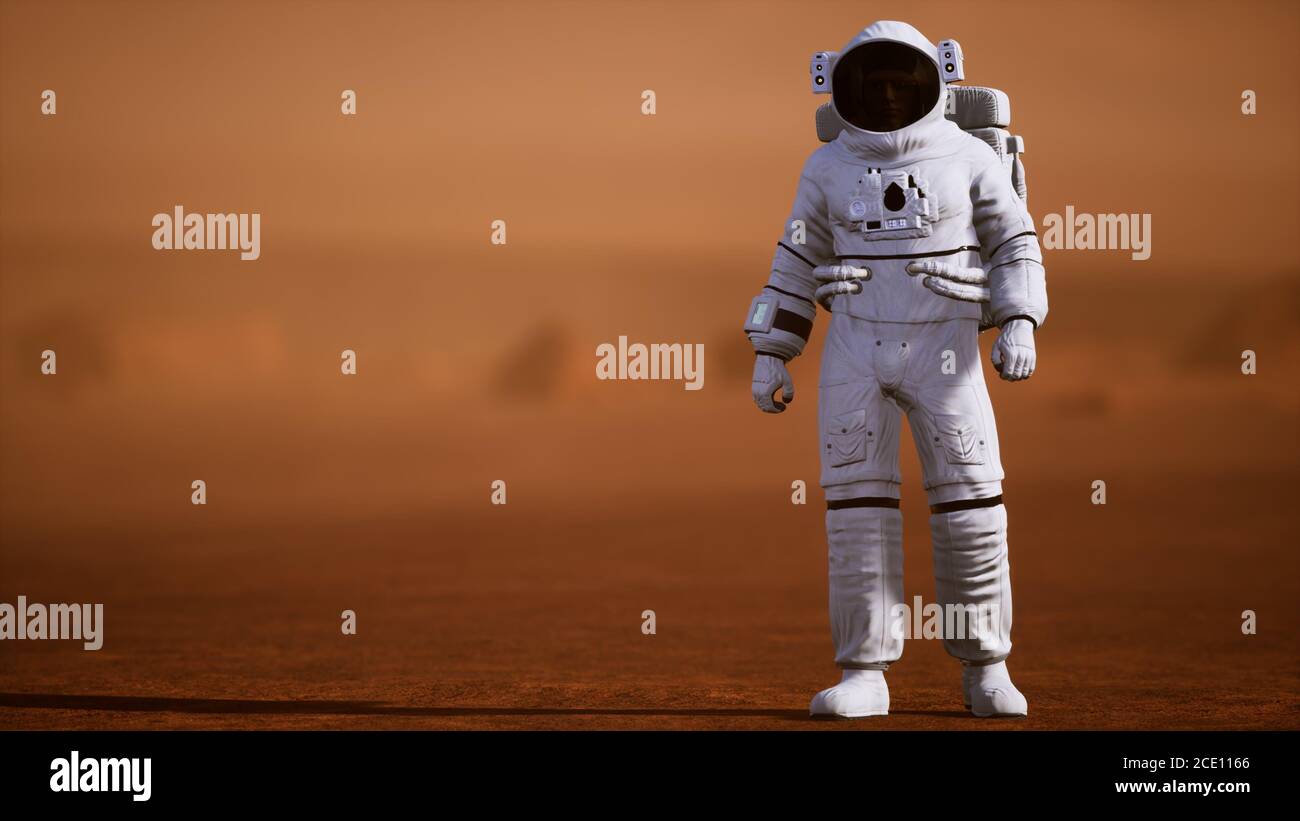 Planets With Gas And Rock