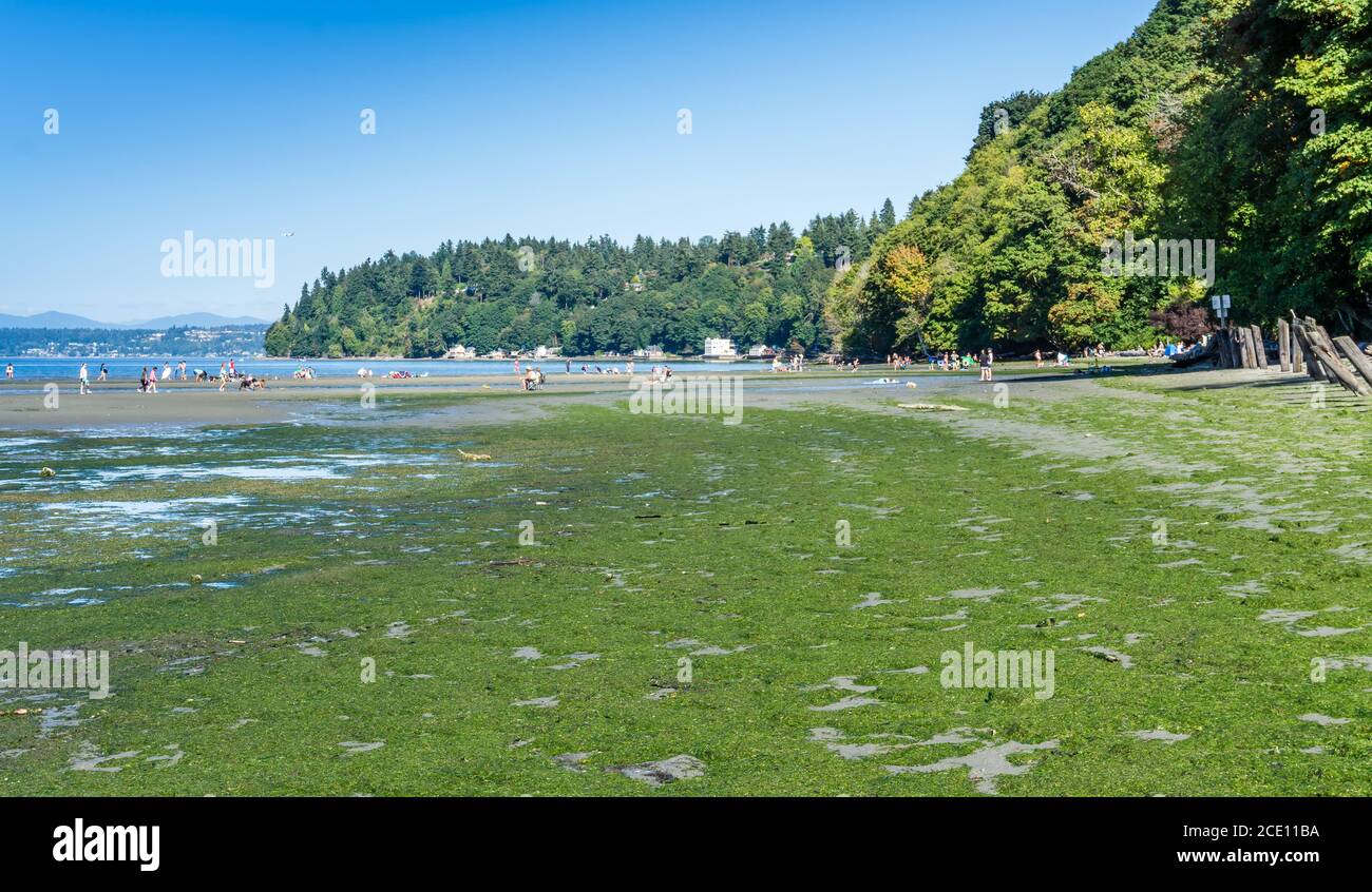 Dash point park hi-res stock photography and images - Alamy