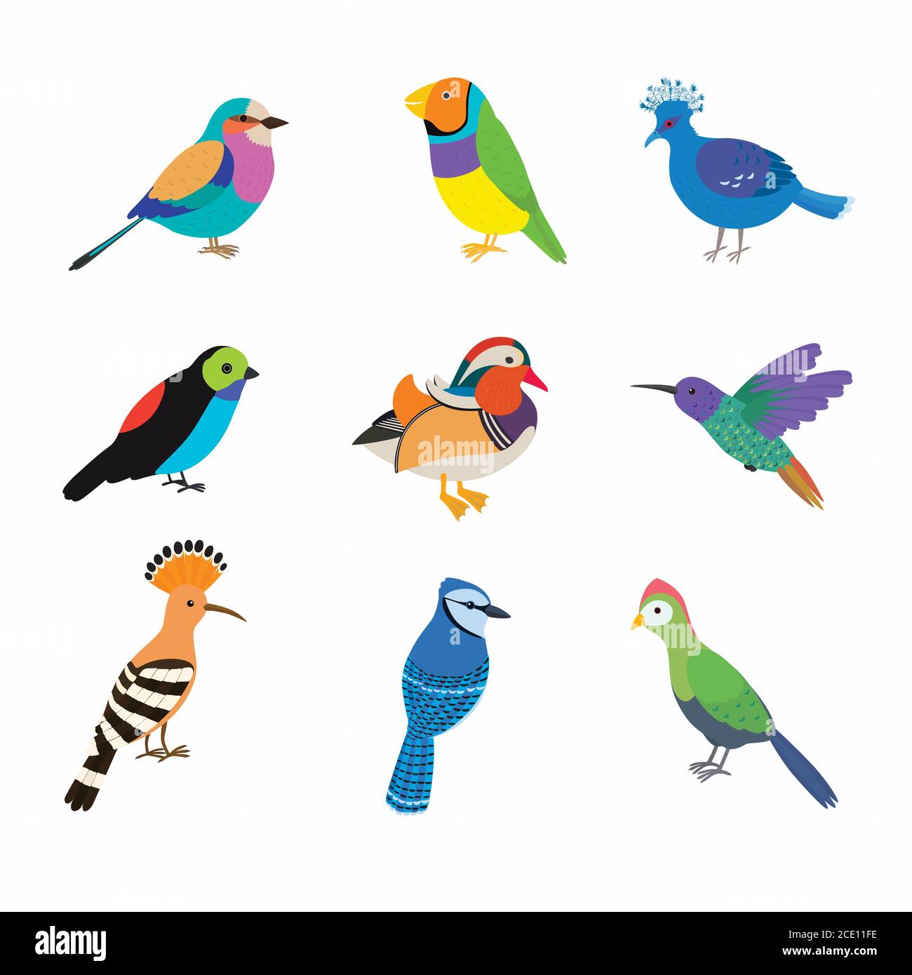 Set of the most beautiful birds on the planet. Vector illustration ...