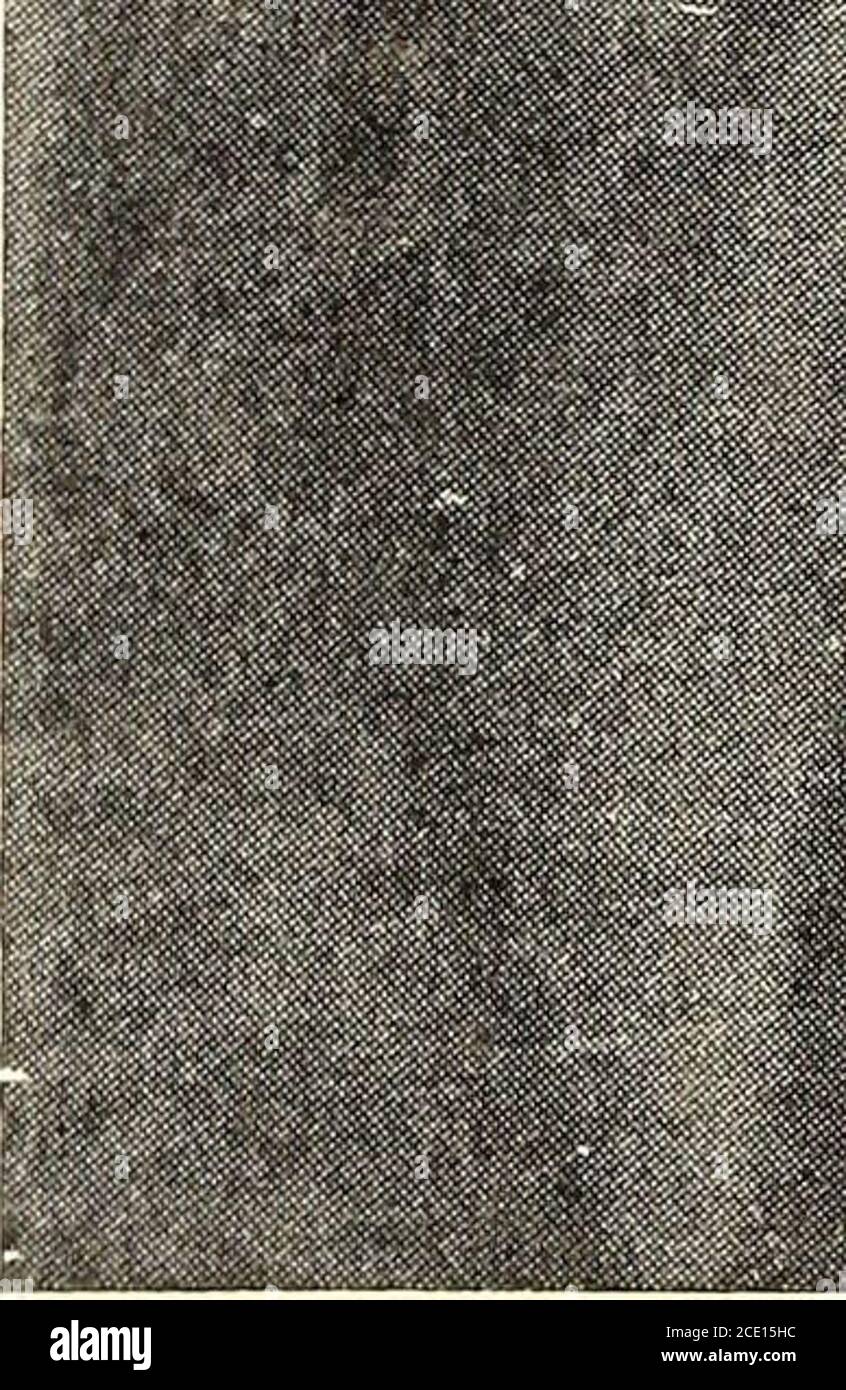 Jose antonio navarro hi-res stock photography and images - Alamy