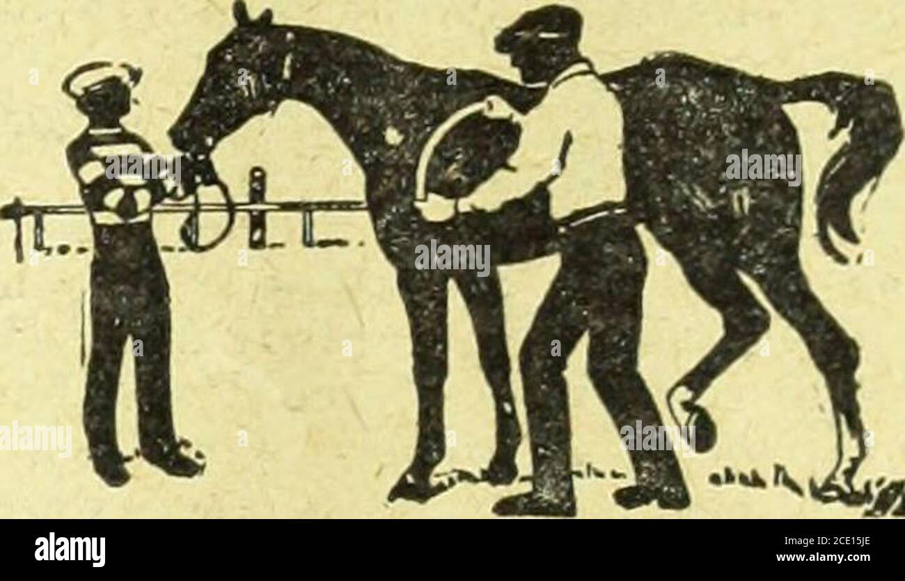 Saddle sore High Resolution Stock Photography and Images - Alamy