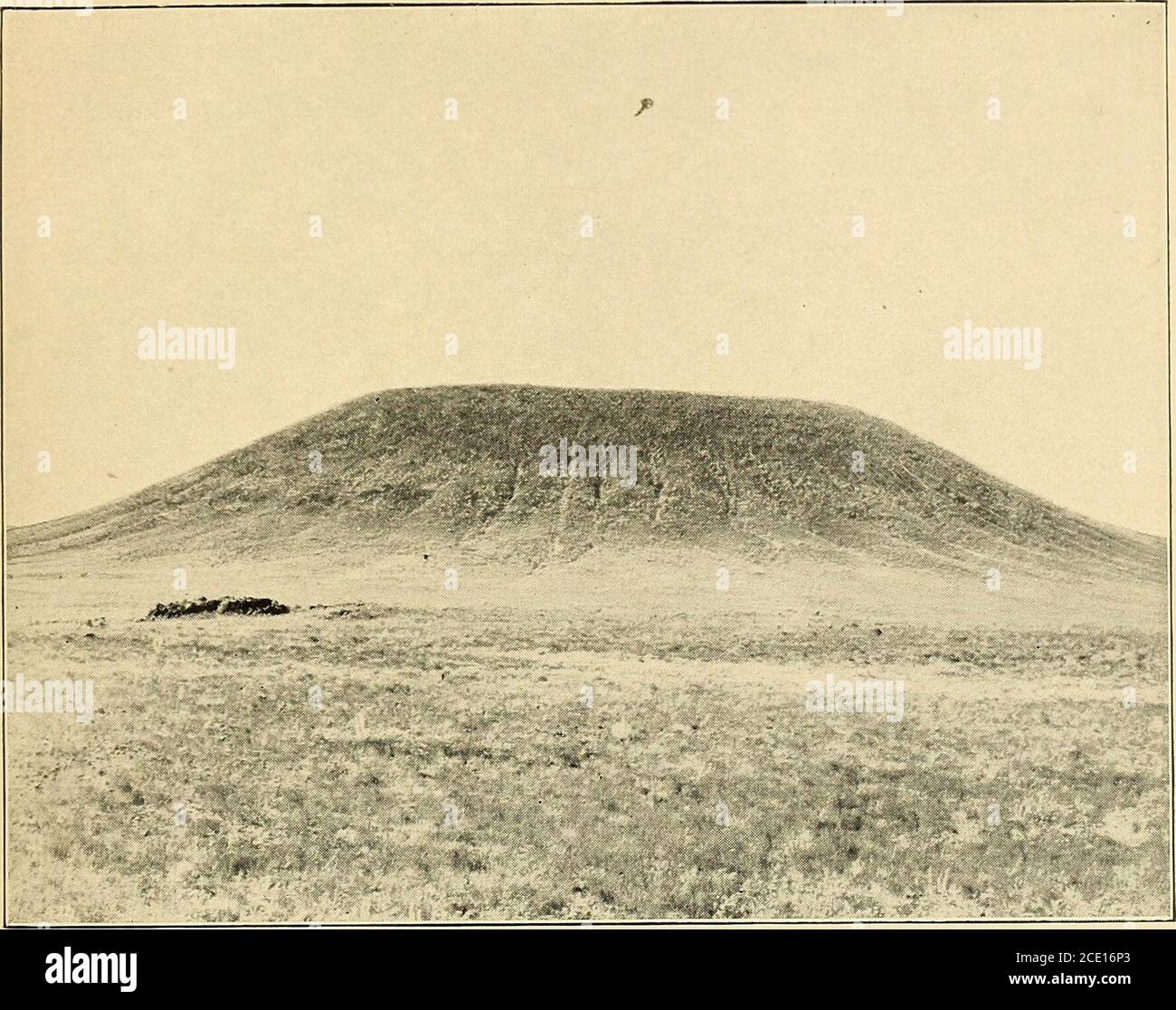 Late tertiary period hi-res stock photography and images - Alamy