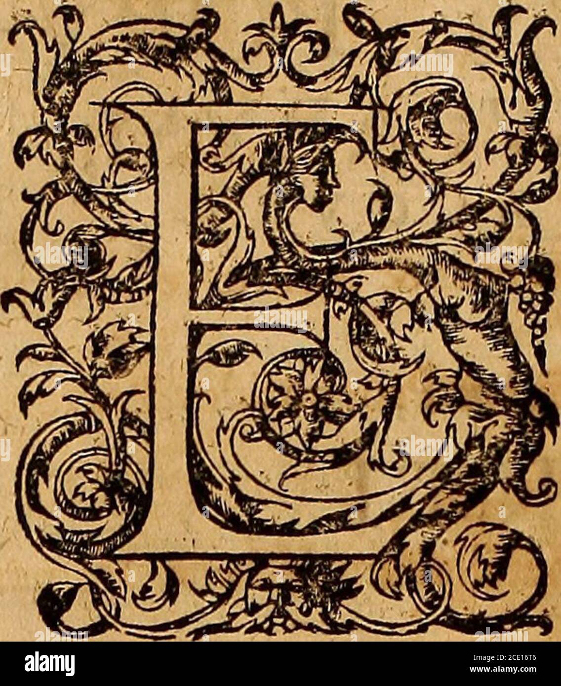 Quarri hi-res stock photography and images - Alamy