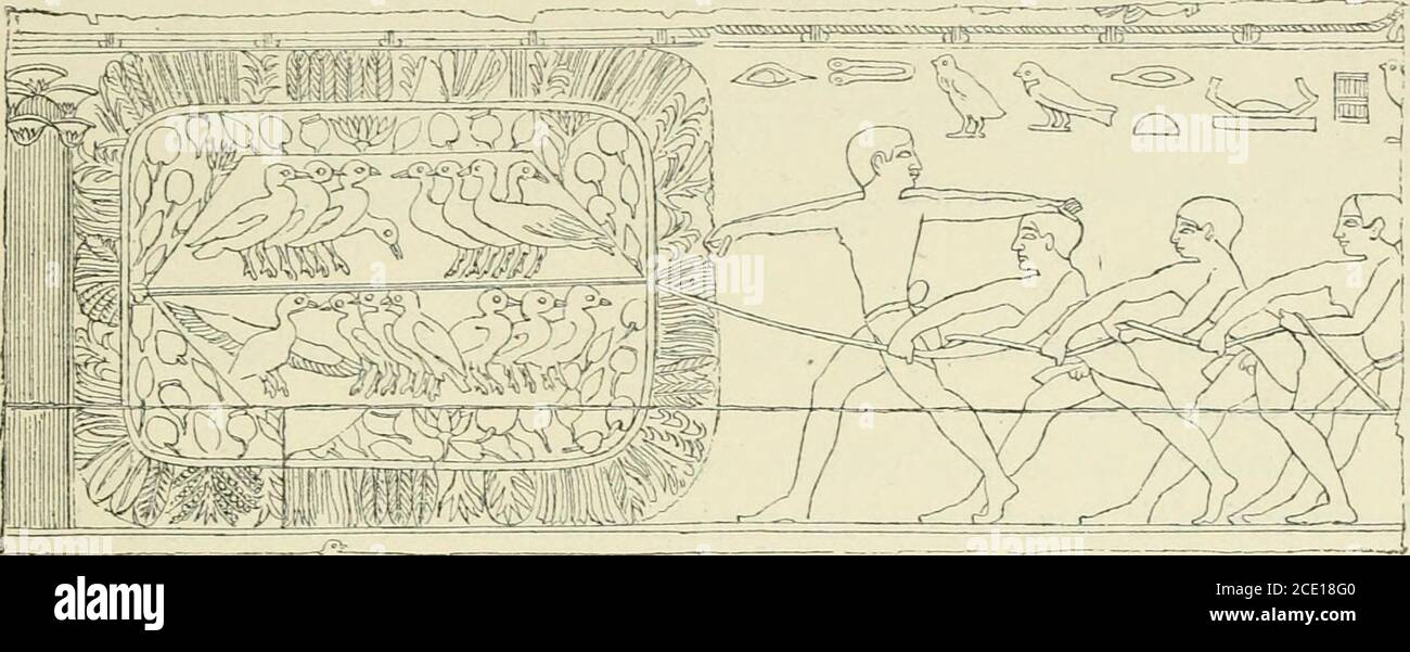 . A history of art in ancient Egypt . f Avaris, he was noticed by the ...